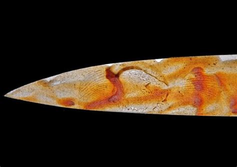 Indonesian Woman Allegedly Cuts Off Boyfriends Penis After He