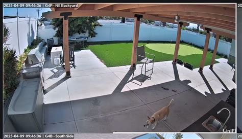 New Thing I Noticed On Unifi Protect Album On Imgur