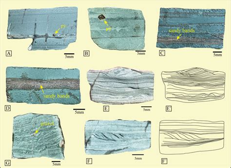 Photographs Showing The Fine Grained Lithofacies In The Zhaoxing