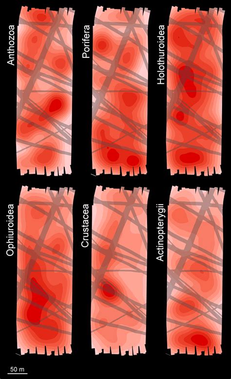 Heat Maps Showing The Distribution Of Density Of The Six Most Dominant