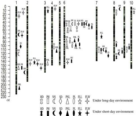 Qtl Locations In The Bin Map For Eight Agronomically Important Traits