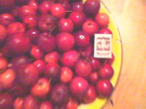 Моченые яблоки с медом и без