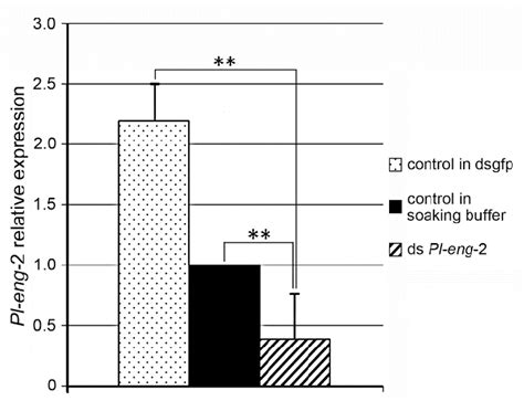 Relative Expression Level Of Pl Eng 2 In Nematodes After Soaking In Download Scientific Diagram