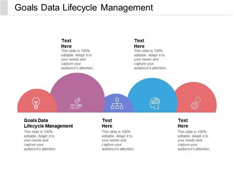 Goals Data Lifecycle Management Ppt Powerpoint Presentation File Skills
