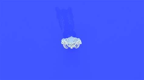 Test Stl File Processed Democratiz3d® Processing