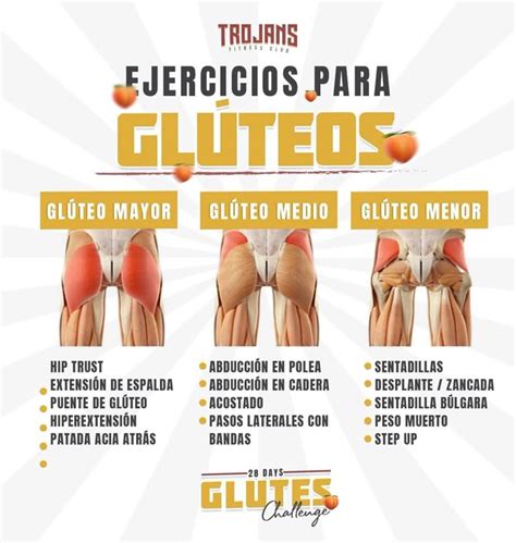 Pin De Sandra Cremades En Ejercicios Ejercicios Para Glúteos