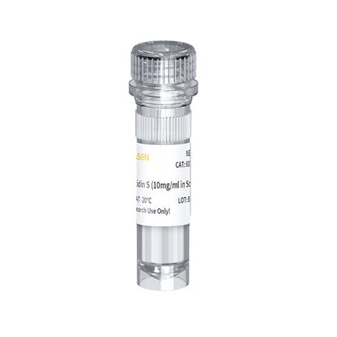 Blasticidin S 10mg Ml In Solution Yeasen