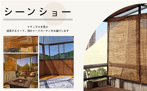 Amazon｜bgyftw すだれ 丈90cm X幅125 Cm竹すだれ ロールスクリーン 日除け 遮光 ロールスクリーン竹 屋外用竹ブラインド 日除け 遮光 ロールスクリーン、 屋内 ロール