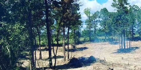 How Do Trees Help With Flooding In Orange County CA