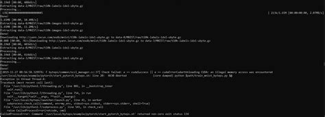 Pytorch Docker Image Fails To Train Mnist With Multiple Gpus · Issue