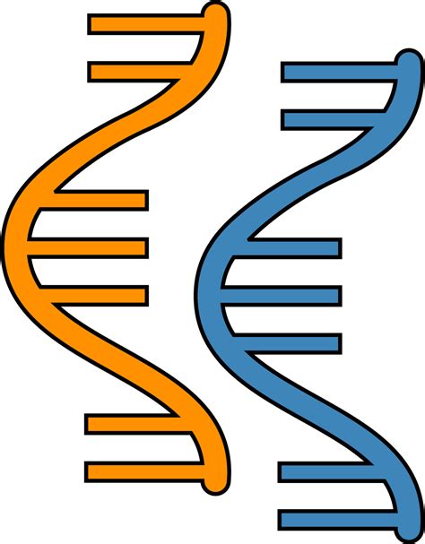 What Is Immunogenicity Bioanalysis Zone