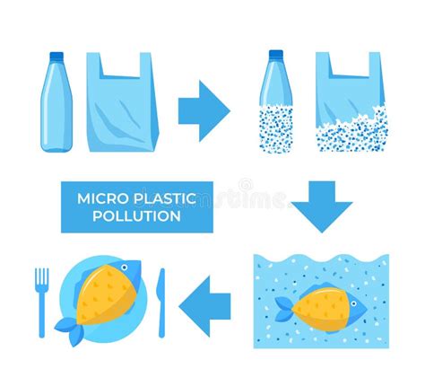 Microplastic Stock Illustrations 993 Microplastic Stock Illustrations
