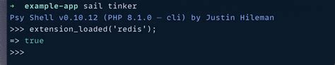 Unable To Start Due To Missing PHP Redis Extension Issue Laravel Sail GitHub