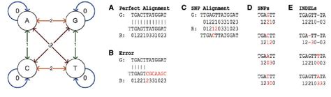 figure 1 from genome variation discovery with high throughput
