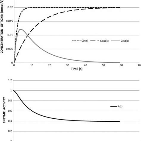 Relationship Between The External Cadmium Concentration And The