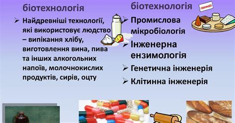 Тестування ⁣⁣Огляд ⁣⁣традиційних ⁣⁣біотехнологій ⁣⁣Основи ⁣⁣генетичної ⁣⁣та ⁣⁣клітинної