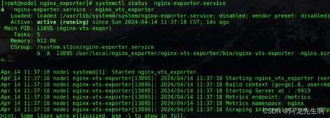 【prometheus】监控nginx并实现可视化prometheus Nginx Csdn博客