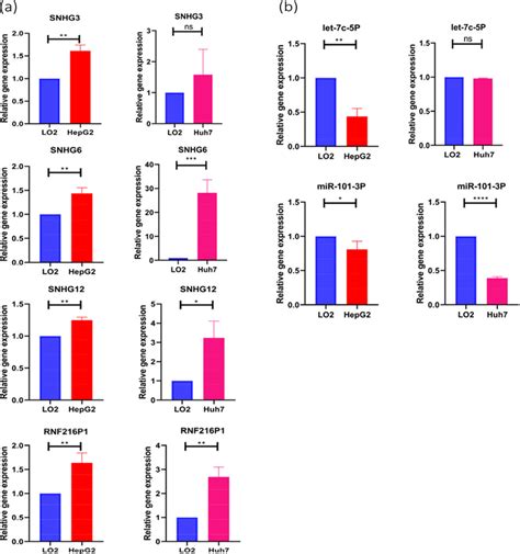 The Verification Of Qpcr Results Of Target Gene Download Scientific Diagram
