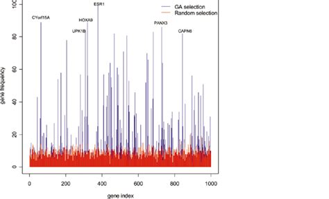 gene selection frequency via genetic algorithm k nearest neighbor
