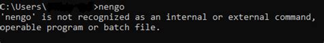 Run Nengo From Cmd Faild Getting Started Nengo Forum