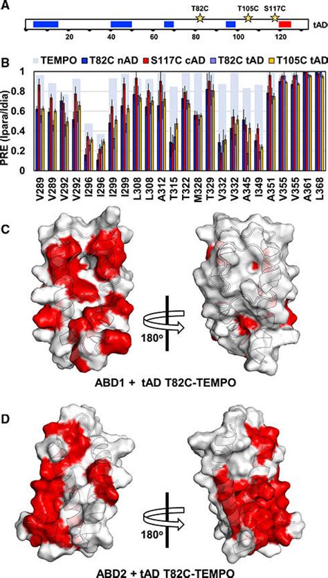 Paramagnetic Relaxation Enhancement Experiments Of Ad Abd Complexes A Download Scientific