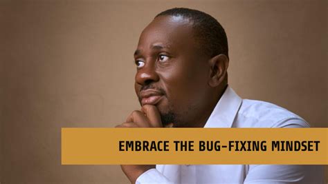 embracing the bug fixing mindset in life