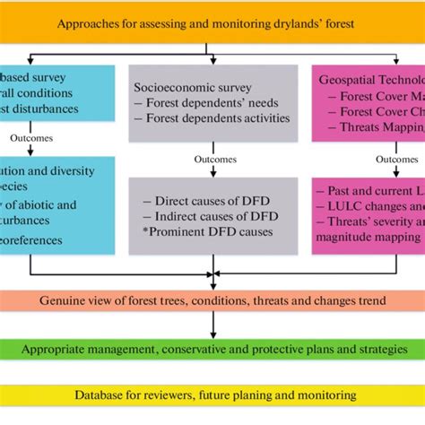 Schematic Representation For The Proposed Framework Of Assessing And