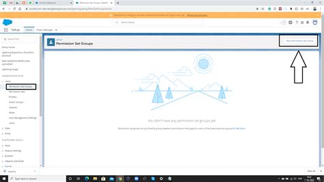 Spring Permission Set Groups In Salesforce Avnish Yadav
