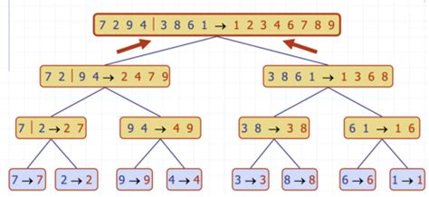 Fundamentals Of Algorithms Flashcards Quizlet