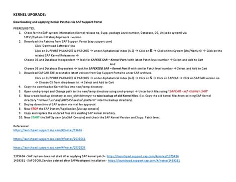 kernel upgrade downloading and applying kernel patches via sap support portal pdf business
