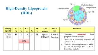 Metabolism Of Lipoproteins Its Disorders Chylomicron VLDL LDL Pptx