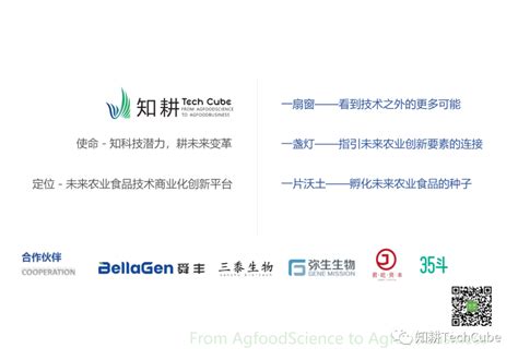 植物基因编辑育种