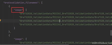 3dunet实现3d医学影像的有效分割3d Unet Csdn博客