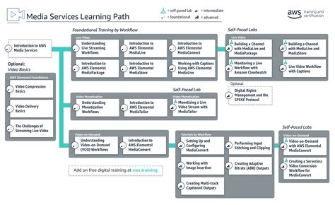 Creating Multiple Paths For Learning