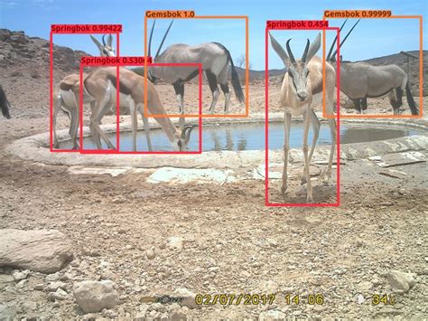 Addax Data Science Namib Desert V1 Hugging Face