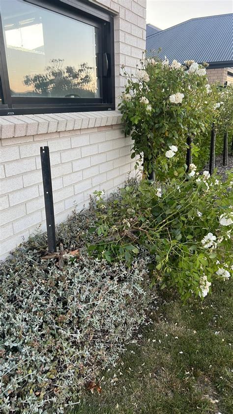 Halp Please R Gardening