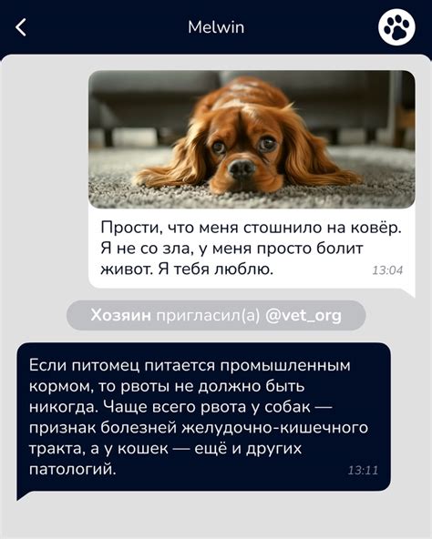 Премиальный корм для животных Melwin 2024 | ВКонтакте