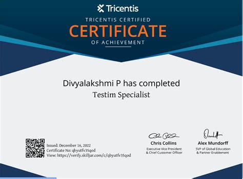divya lakshmi p on linkedin training tricentis learning