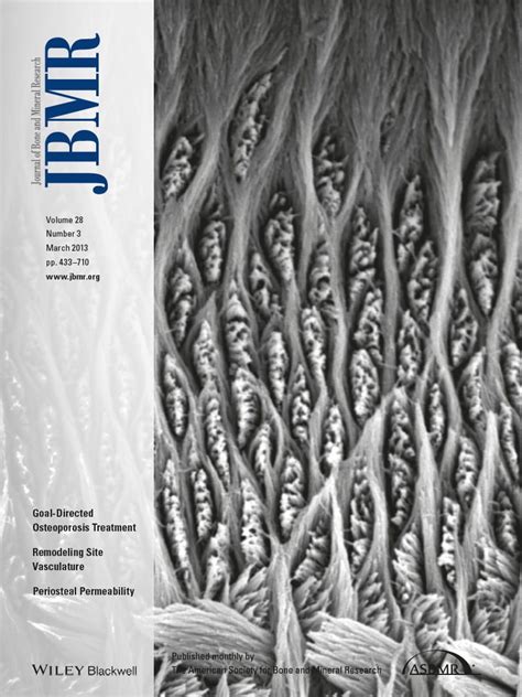 New Article Adaptor Protein Complex 2mediated Clathrin Dependent