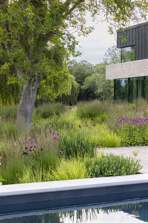 Modern Country Garden Cambridgeshire Colm Joseph Gardens Garden
