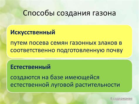 ГАЗОНЫ ВИДЫ ГАЗОННЫХ ТРАВ — копия презентация онлайн