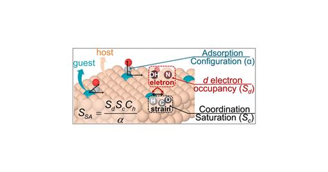 Single Atom Saturation A Fundamental Principle For Single Atom Site