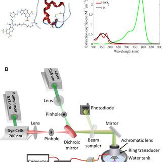 A Insulin Lispro Lispro With Sulfo Cy7 5 Dye Covalently Attached To Download Scientific