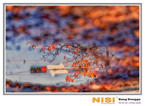 Gu 가을은 이제 멈추어야한다 멈추고 싶은 가을 도로 끝 신호등이 빨간불로 속삭인다 멈추어라 잠시만 멈추어라 가을은 그렇게 지나간다 바람결에 춤추던