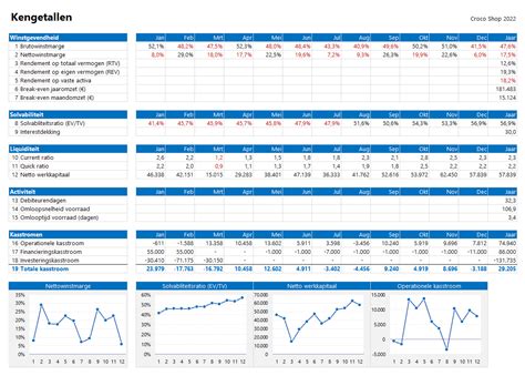 Persoonlijk Financieel Plan Voorbeeld Excel