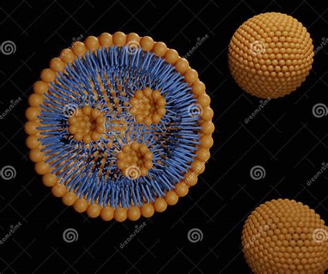 Lipid Nanoparticle For Drug Delivery Without Cholesterol Stock Illustration Illustration Of