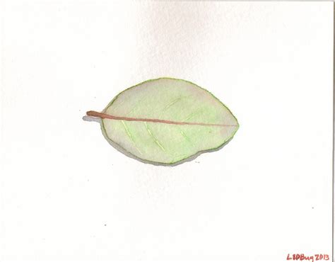 Study The Back Of A Leaf Painting By Saralyn Cumberledge Pixels