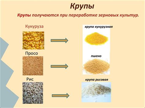 Блюда из круп бобовых и макаронных изделий 6 класс презентация онлайн