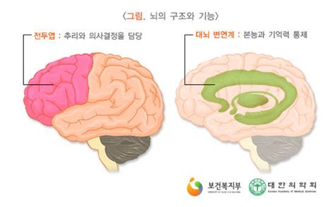 ‘치매 예방과 조기 검진으로 뇌 건강 지키기