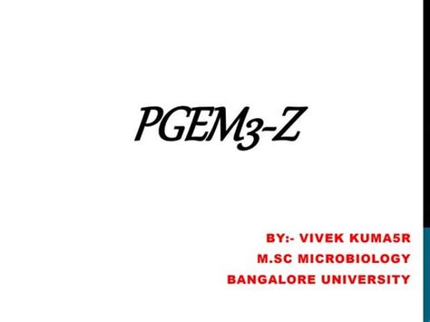 Lecture On Puc18 Vector Ppt Lecture On Puc18 Vector Ppt